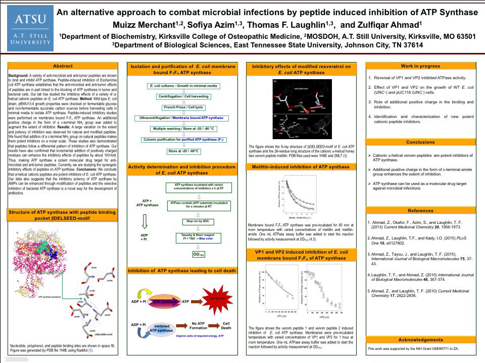 MOSDOH-Student Works-An alternative approach to combat microbial infections